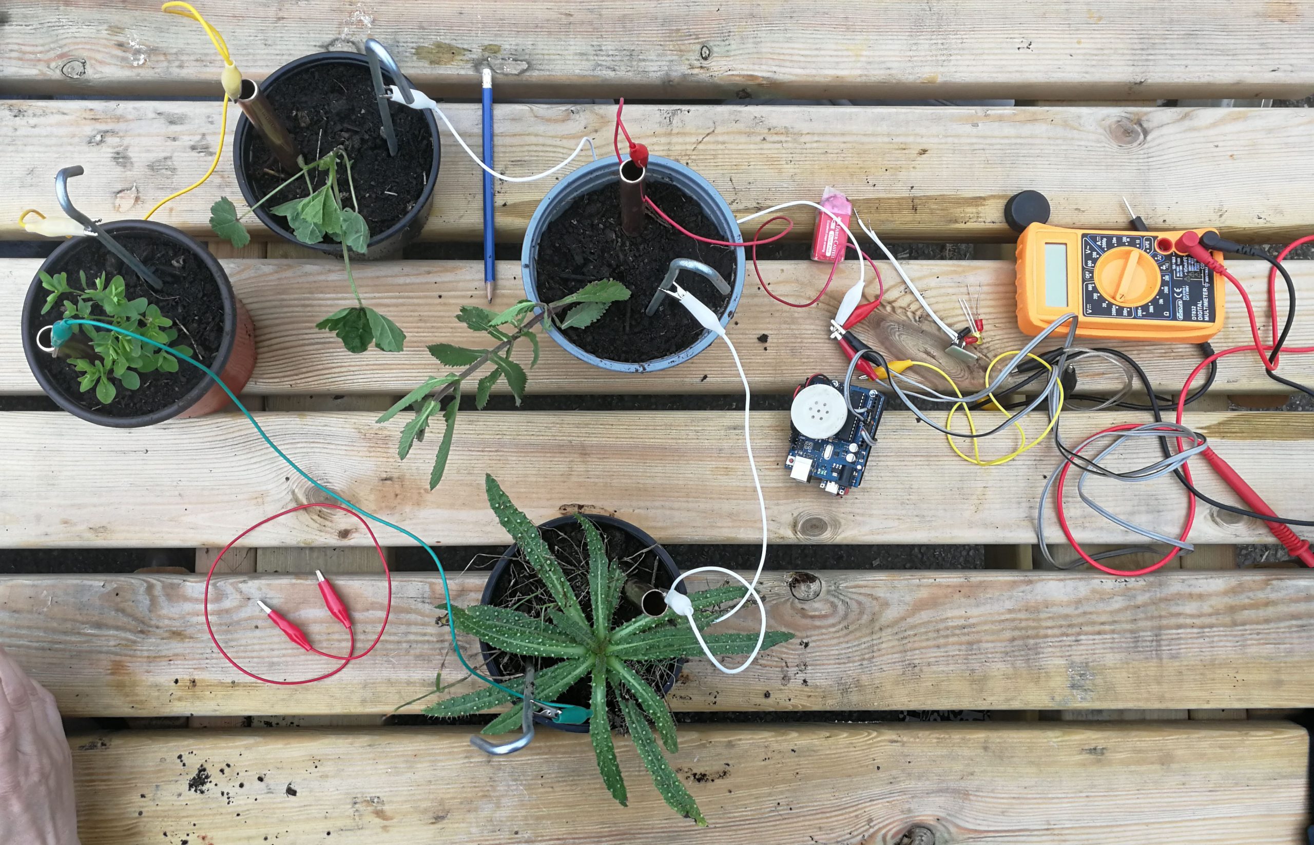 Garden Lab Whispers Grow - Knowle West Media Centre