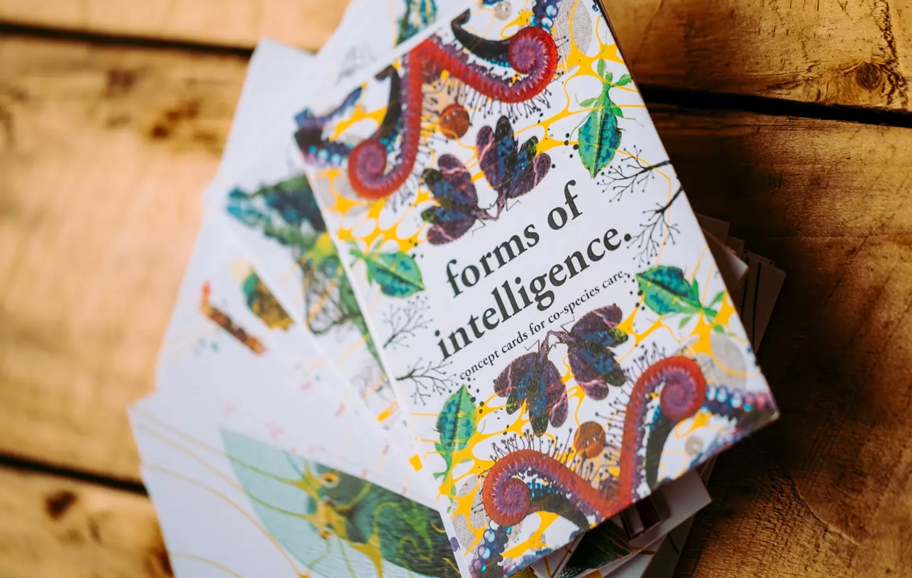 Forms of Intelligence - Knowle West Media Centre